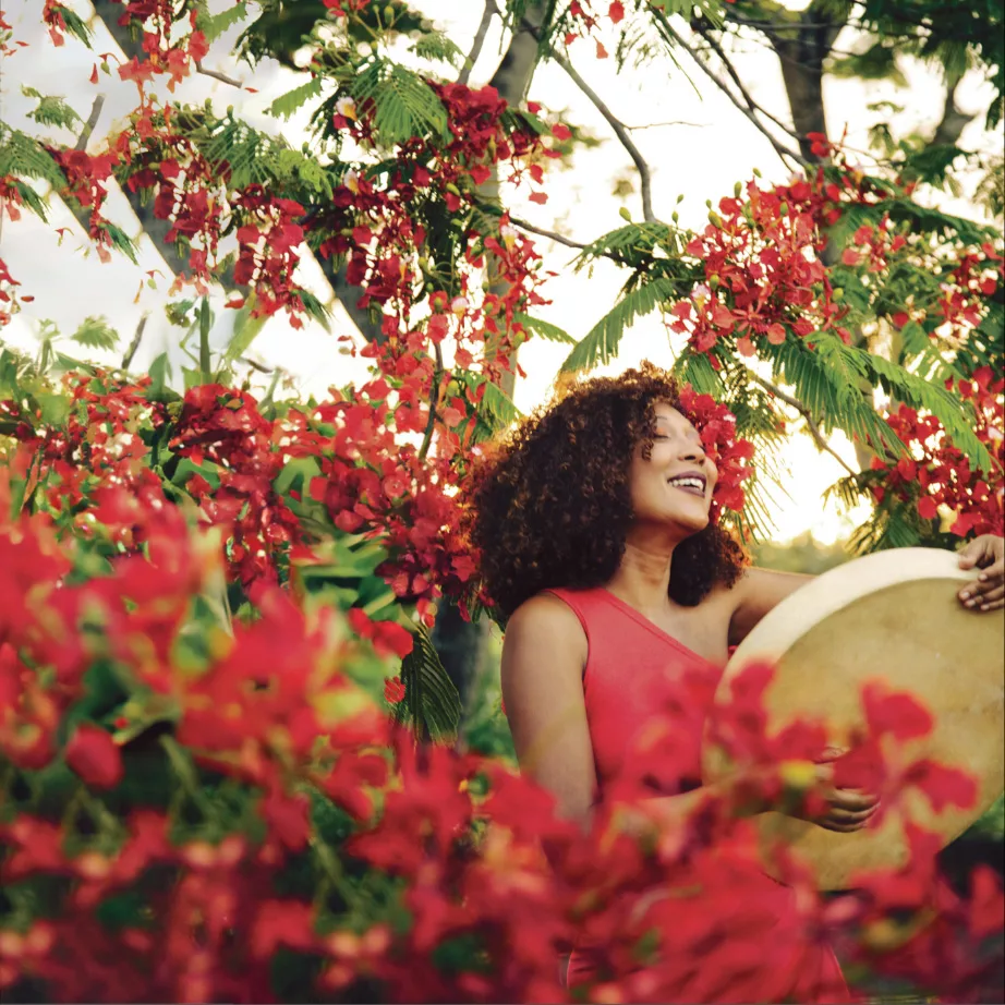 Mauritius Tourism – oxo-hospitality.com